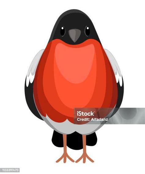 앉아있는 황소 핀치의 전면 보기 플랫 만화 캐릭터 디자인입니다 화려한 새 아이콘입니다 귀여운 불스 핀치 템플릿입니다 겨울 새입니다 벡터 일러스트 레이 션에 고립 된 흰색