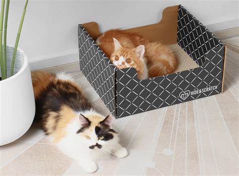 Keep The Cardboard Shreds Contained With Hide And Scratch Cat Scratcher Box • Hauspanther