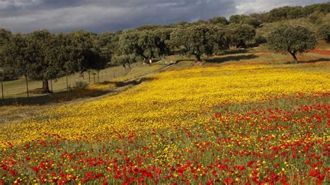 Almaraz Diputación Impulsa