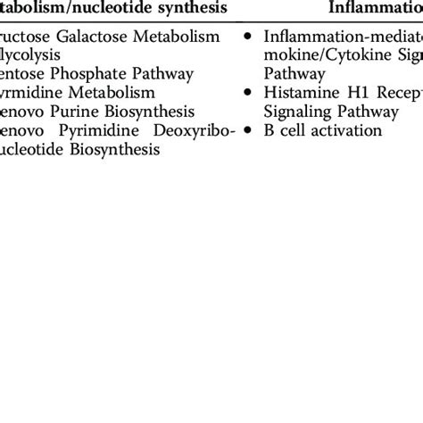 Cardiomyocyte Contraction And Computational Modeling Myocyte