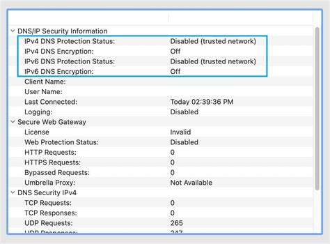Ipv4 And Ipv6 Dns Protection Status