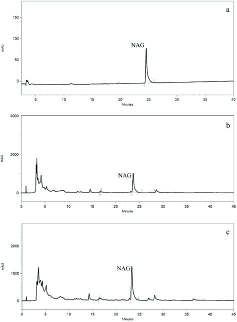 Hplc Chromatogram Of Neoandrogapholide From Andrographis Macrobotrys Download Scientific
