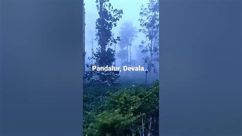 A Summer Vacation Morning At Devala Gudalur Youtube