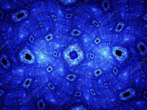 Cells Fractal Illustration Stock Image F0290366 Science Photo