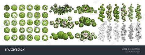 Tree For Architectural Floor Plans Entourage Royalty Free Stock Vector 2382555983 Avopix Com