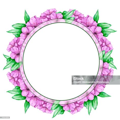 손으로 그린 수채화 보라색 진달래 프레임 테두리가 흰색 배경에 분리되어 있다 초대장 엽서 포스터 장식 및 기타 인쇄물에 사용할