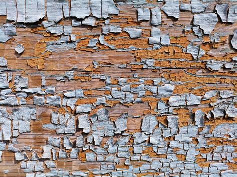 Background Dye Tree Free Photo On Pixabay Pixabay