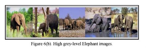 Figure 2 From An Image Retrieval Technique Based On Texture Features Using Semantic Properties