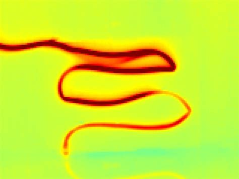 Thermal Object 2 Object Detection Dataset By Hjjworkshop