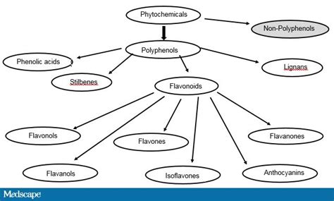 Supplementary Facts Polyphenols Power Is In Food Drink