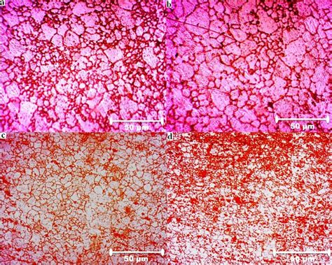 The Microstructure Of Alloy Specimens After Ecae Amg6 4 90 A