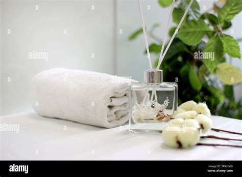 Clear Glass Bottle Diffuser With Sea Shells And Cotton Fragrance