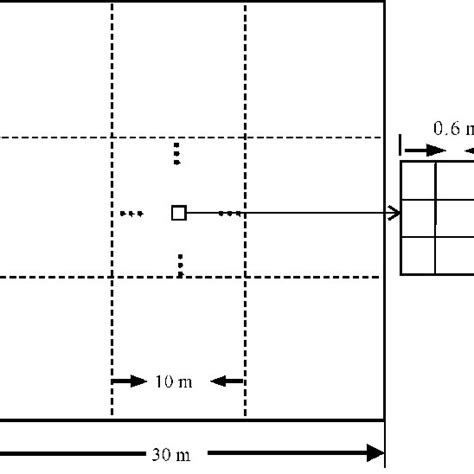 Design Of The Sampling Plots Each Sampling Plot Was M M And