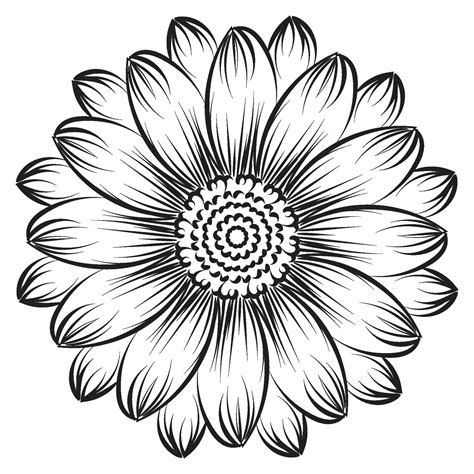 Sunflower Outline Sunflower Line Art Floral Line Drawing Black And