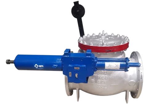 Stainless Steel Quick Closing Non Return Valve Valve Size More Than 8