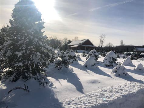 Seekonk Tree Farm CCTGA