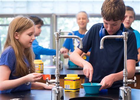 Benefits Of Mixed Age Classes Vine Academy