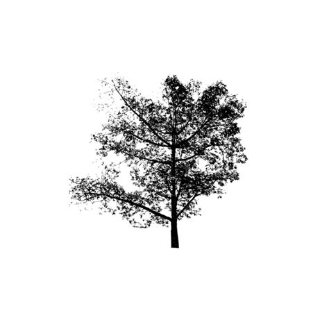 Tree Template Postermywall