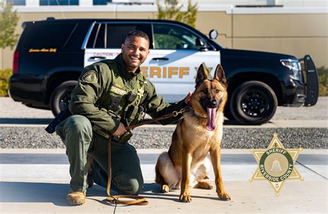 New Riverside County Sheriffs K 9 Is A Daily Tribute To Slain Deputies