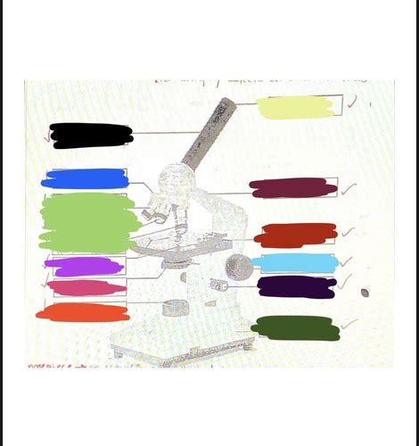 Lab Final Microscope Flashcards Quizlet