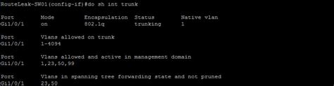 RouteLeakVTP VLAN Trunking Protocol RouteLeak