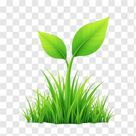 Simple Grass Patch Icon For Eco Friendly Design Grass Patch Icon For