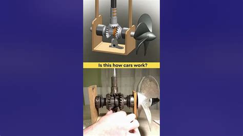 Untitled Design Support Science Codelife Computerscience