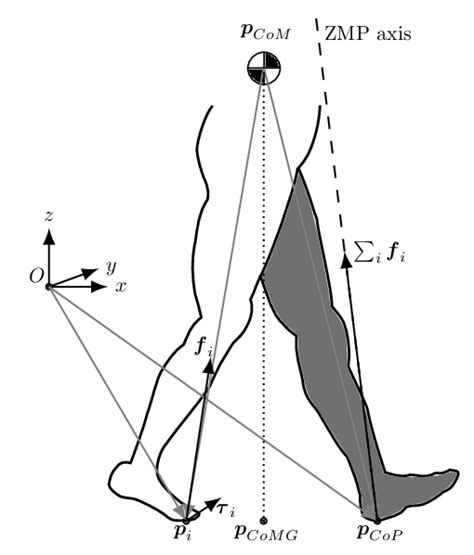 Forces And Moments Acting On Human Body During Locomotion And Salient Download Scientific