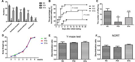 EVs Transplantation Improves The Outcomes Of In Vitro Fertilization And Download Scientific