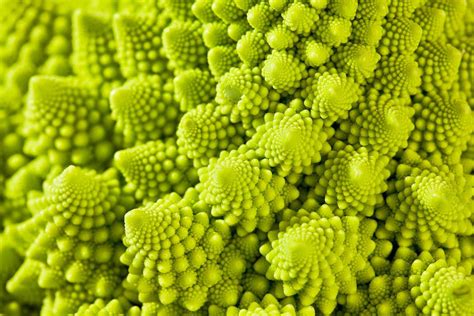 Fibonacci Fractals Of Broccoli Romanesco Roddlysatisfying