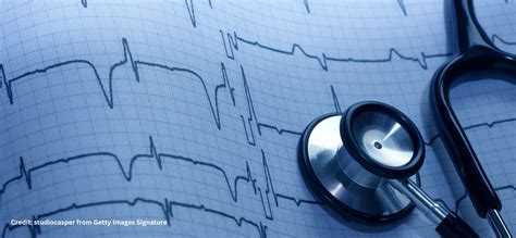 Jane Mussared Takes The Helm At Maggie Beer Foundation To Scale Impact