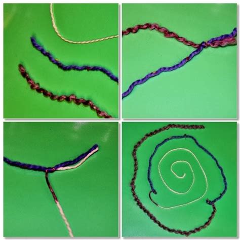 Circulatory System Assignment Sheet