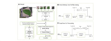 Fotca Model Architecture And Two Loss Functions For Fine Tuning A The