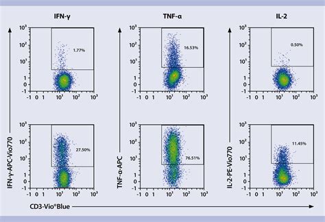 Car T Cell Research Gene Delivery Miltenyi Miltenyi Biotec Usa