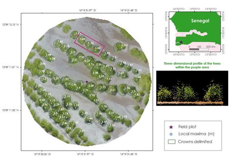 Example Of Individual Tree Detection From Uav Derived Chm Local Maxima