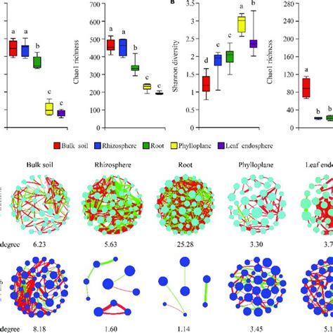 Compartment Niches Have A Strong Effect On Microbial Diversity And