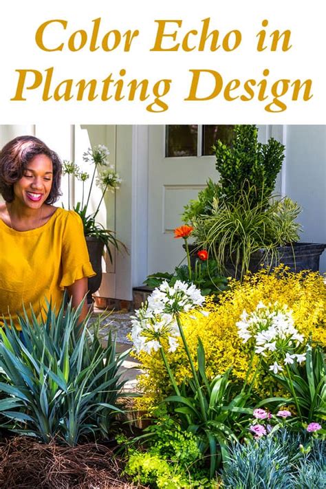 How To Use Color Echo In Planting Designs