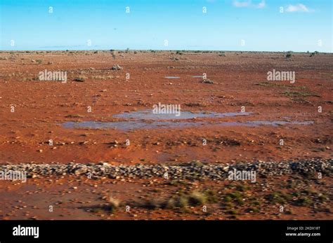 Surface Water Pools Remaining After A Rare Shower Of Rain On The
