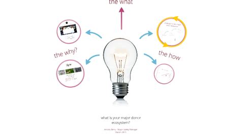 What Is Your Major Donor Ecosystem By Antony Berry On Prezi
