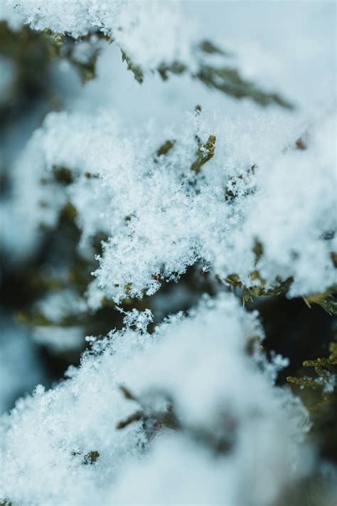 Attendance Background Photos Download The Best Free Attendance