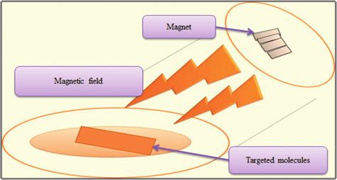 Enhancement Of Transdermal Permeation By Magnetophoresis Technique