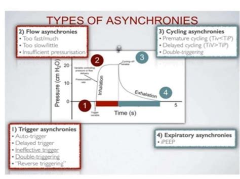 Patient Ventilator Dyssynchrony Pptx