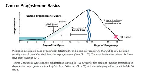 Progesterone Test For Dogs 6 Test Targetvet Biometallics