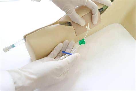 Anatomy Lab Picc Ultrasound Training Model — Pristine Medical