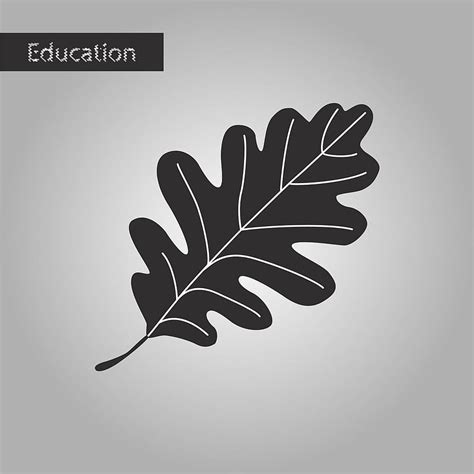 오크 잎 흑백 스타일 아이콘 벡터 Eps Ai Uidownload