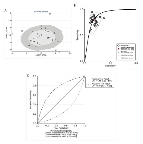 Figure 1 From Prognostic And Diagnostic Values Of Non Coding Rnas As Biomarkers For Breast