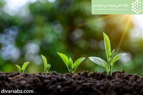 رشد گیاه — Teletype