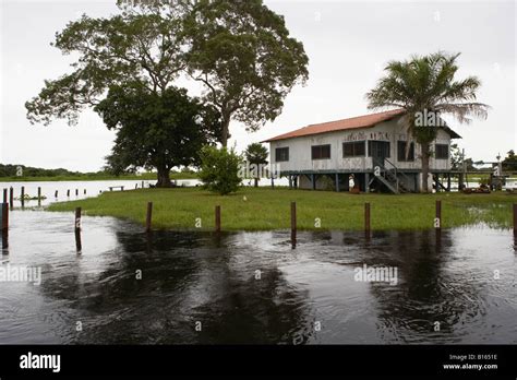 House On Stilts Next To River In Pantanal Brazil South America Stock