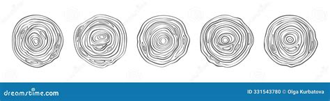 Board Topographic Relationship Of The Spinal Nerve And Vertebral Artery