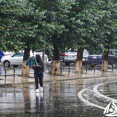 Ам долларын ханш суларч 3595 төгрөгтэй тэнцэв Isee Mn